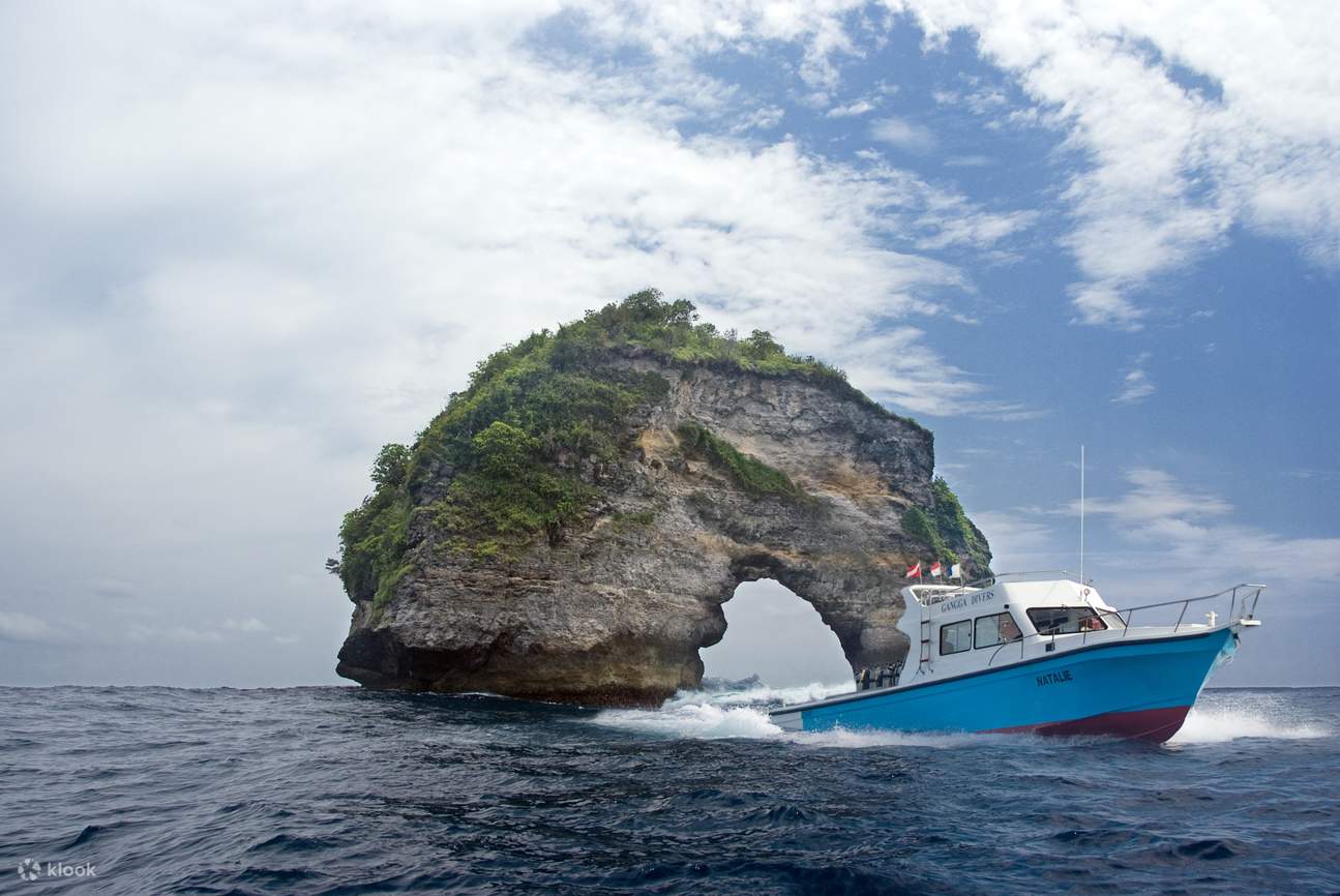 Candidasa Diving Experience By Gangga Divers in Bali - Klook United States