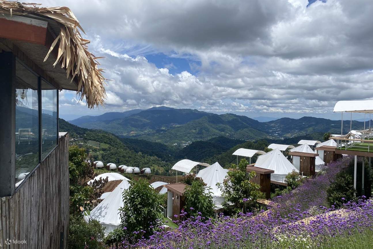 Affordable Shared Van Service to Monjam, Maekampong, Doi Inthanon, and ...