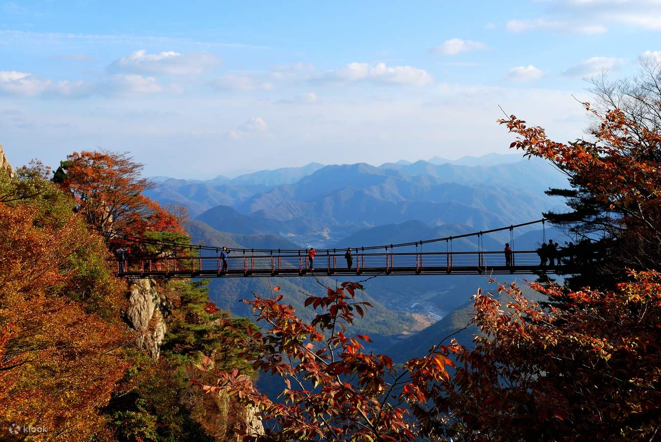 Lawatan Hari Musim Gugur Taman Wilayah Gunung Daedunsan dari Seoul ...