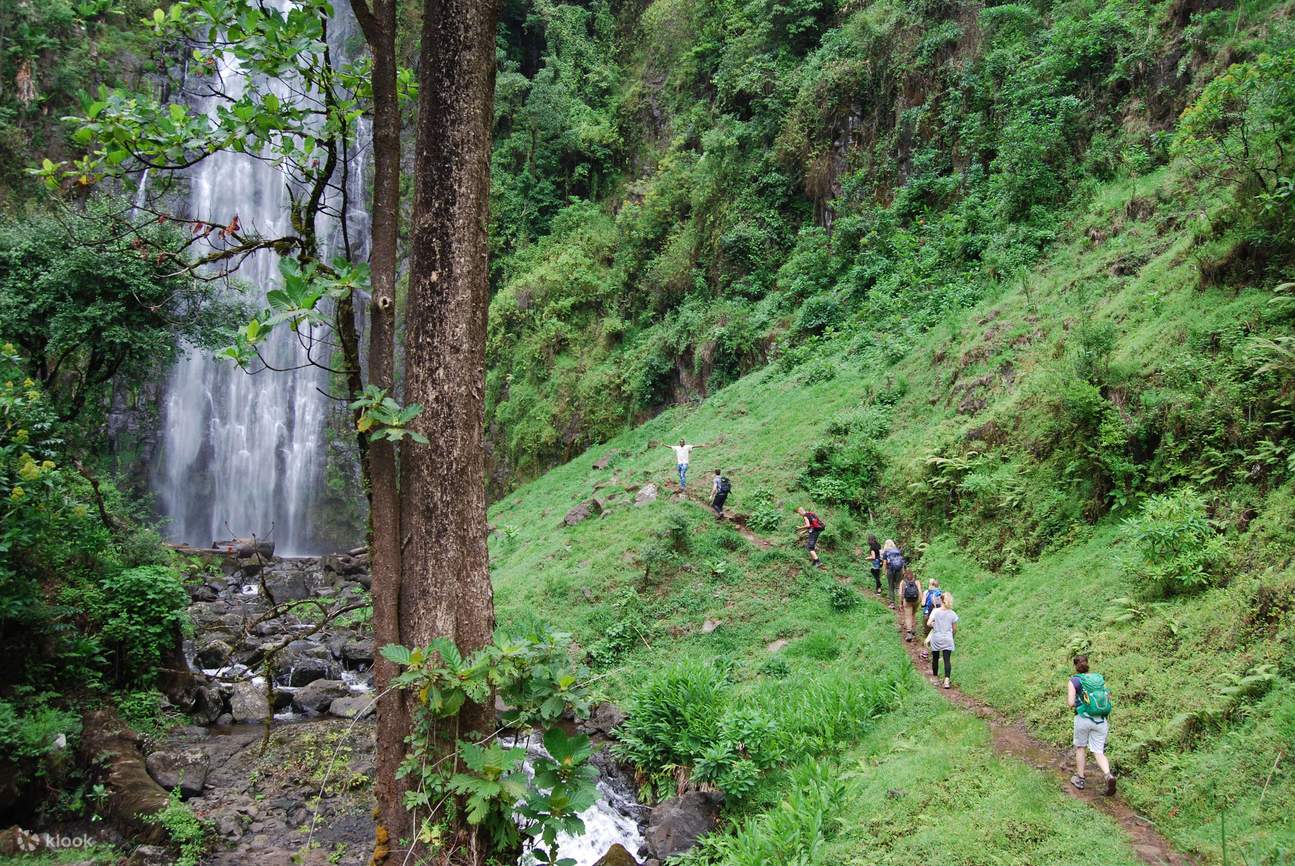 Materuni Waterfall and Coffee Tour - Klook Philippines