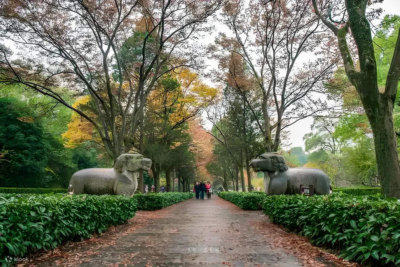 Nanjing Private Guided Day Tour: Chaotian Palace, Zhonghua Gate, Sun Yat-sen Mausoleum, Ming ...