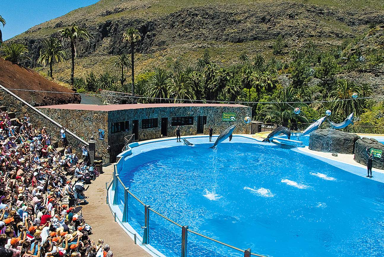 Palmitos Park E-Ticket in Gran Canaria - Klook