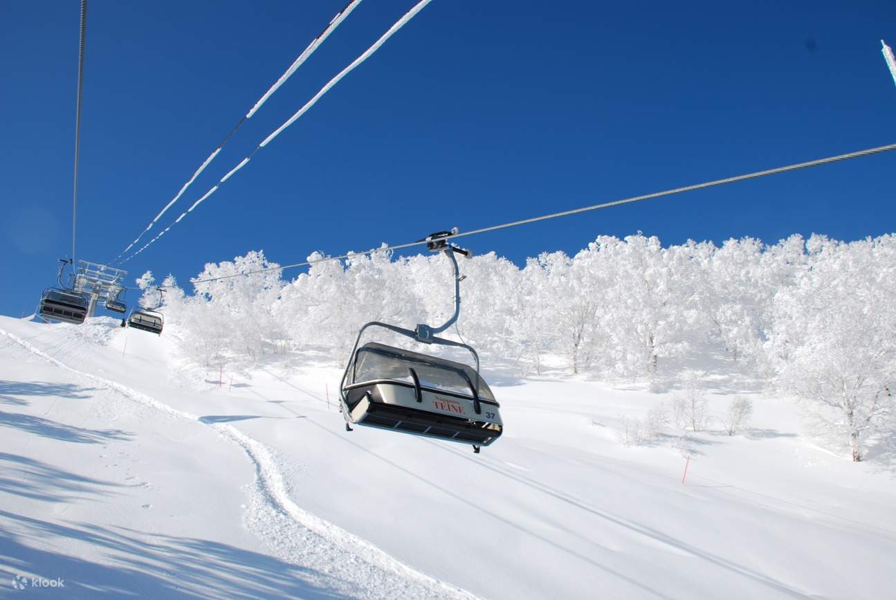 Shared Round Trip Bus Transfers for Sapporo Teine Ski Resort with ...