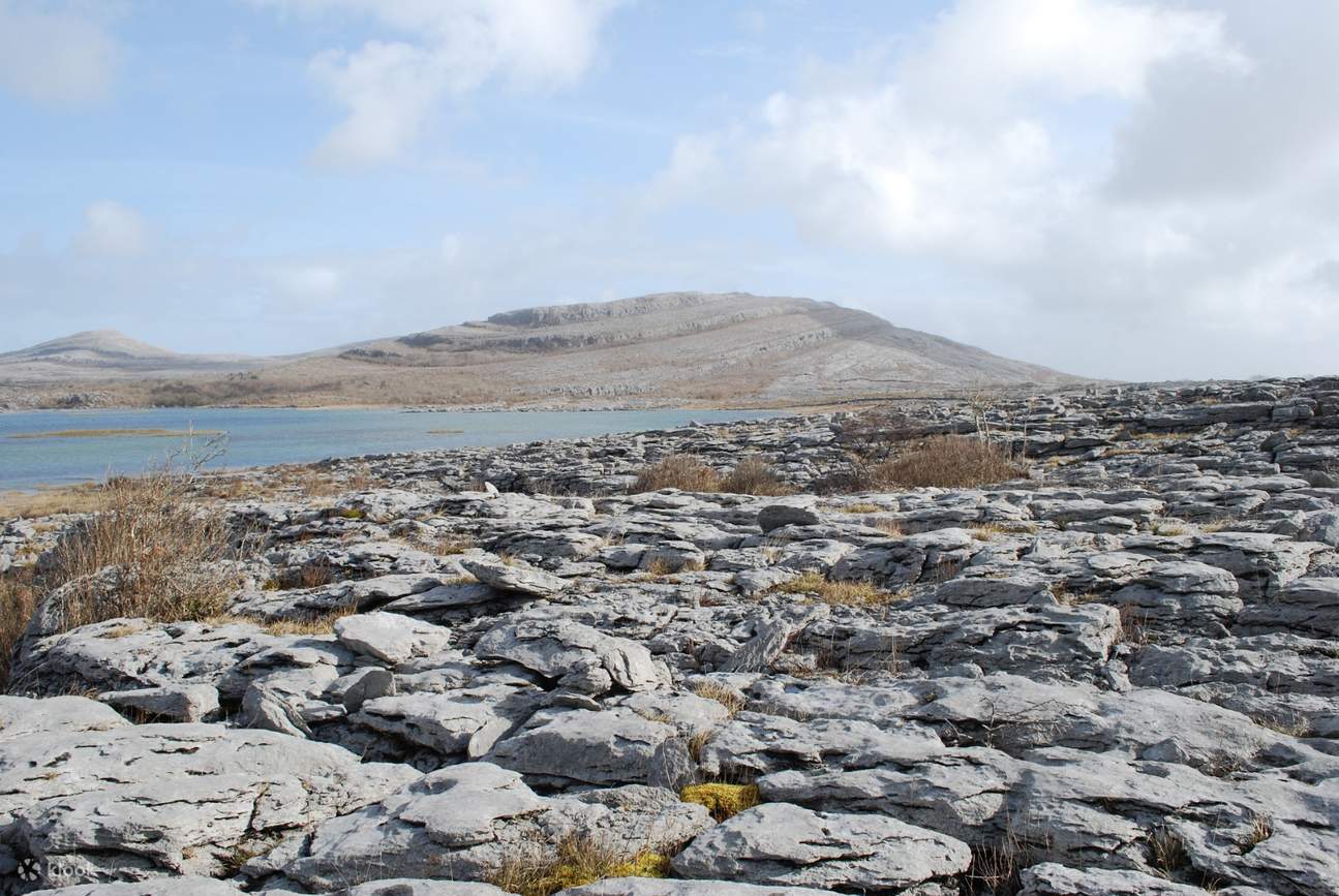 Cliffs of Moher, Burren, and Galway Day Tour From Dublin - Klook Россия