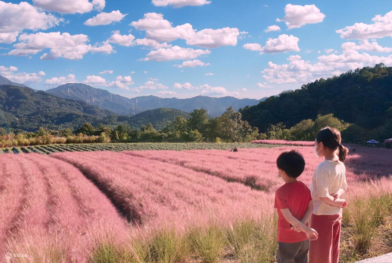 Frozen Journey at Hantan Ice Canyon and the Snow-Covered Duck Sled - Klook