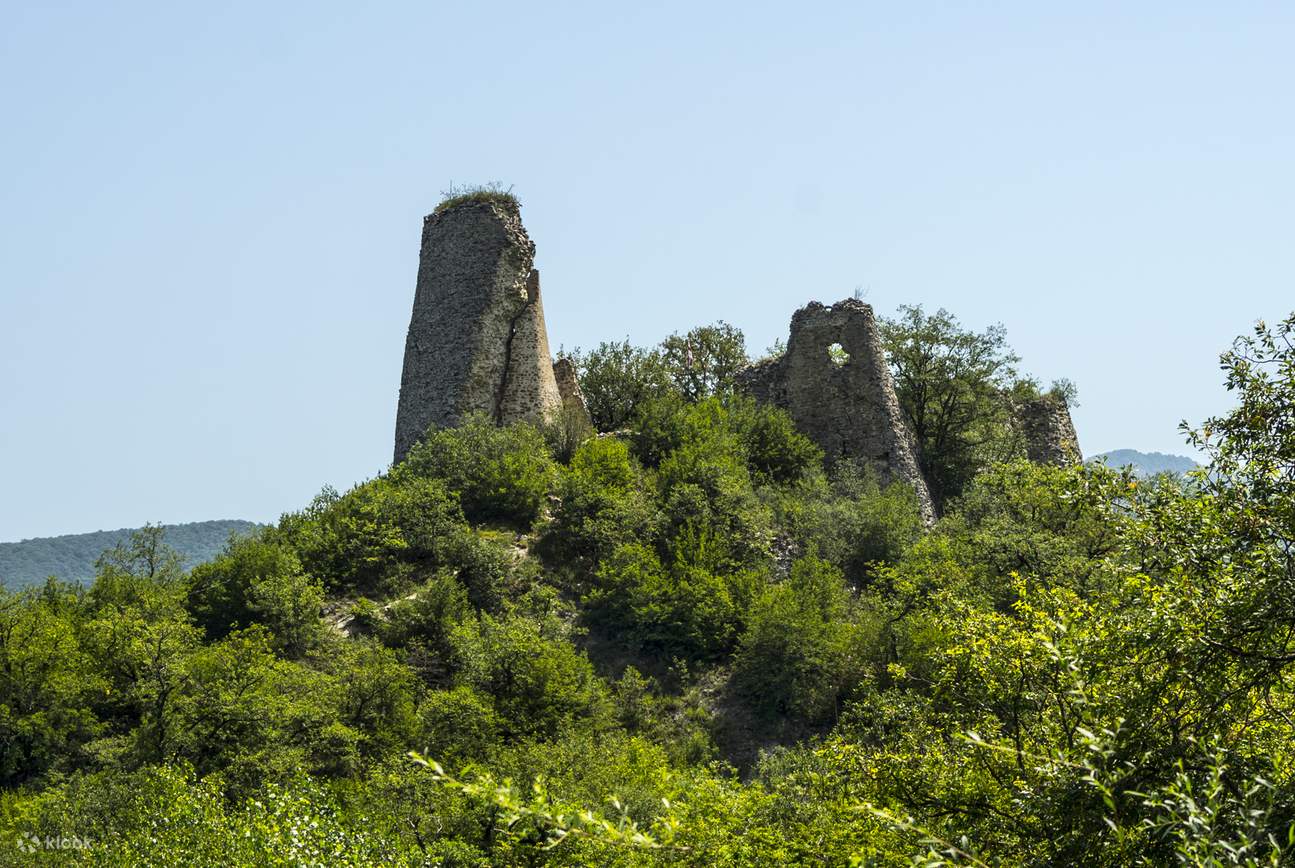 From Tbilisi: Bodbe Monastery, Sighnaghi, & Telavi Day Tour - Klook ...