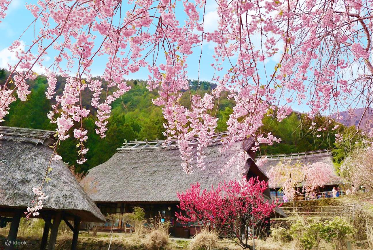 One-day tour to the magnificent view of Mt. Fuji and the romantic sea ...