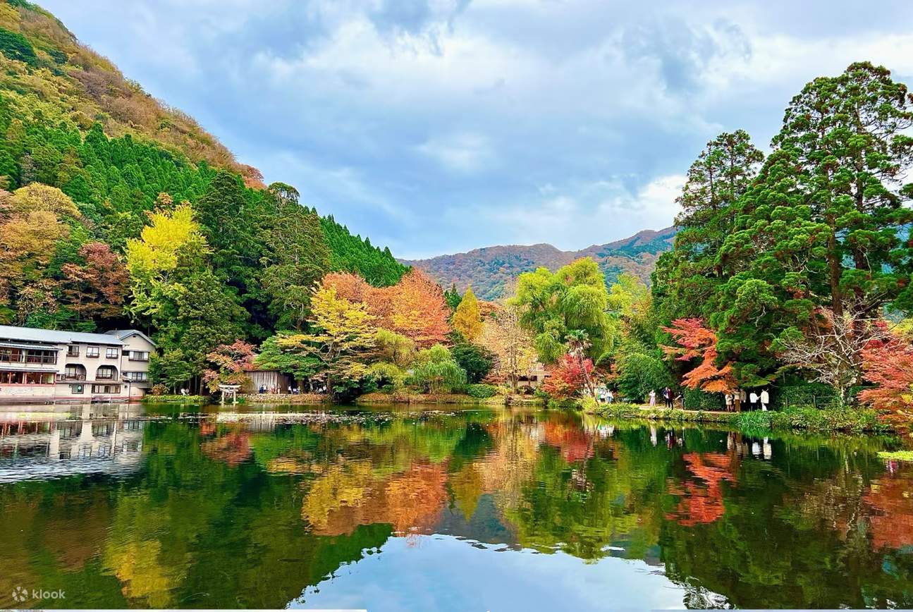 [Autumn Limited] Kyushu Beppu Fall Color Viewing Day Tour｜Kamado Shrine ...