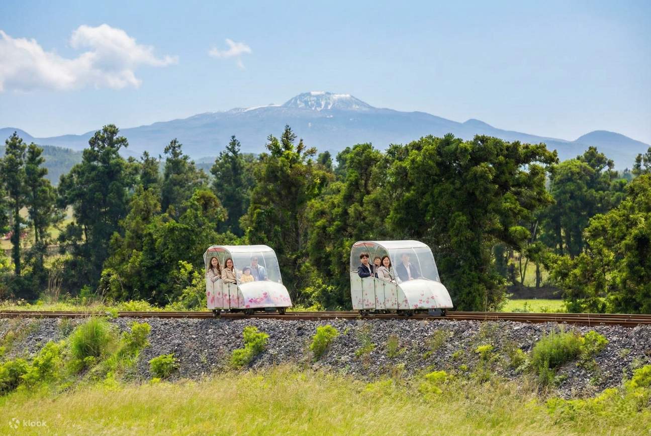 Jeju: Udo Island & UNESCO East Coast Highlights - Klook Australia