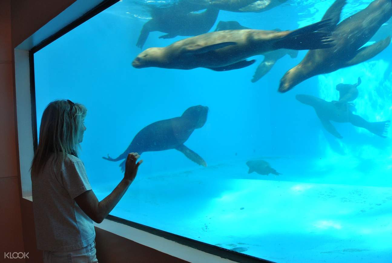 Ocean Adventure Ticket in Subic Bay