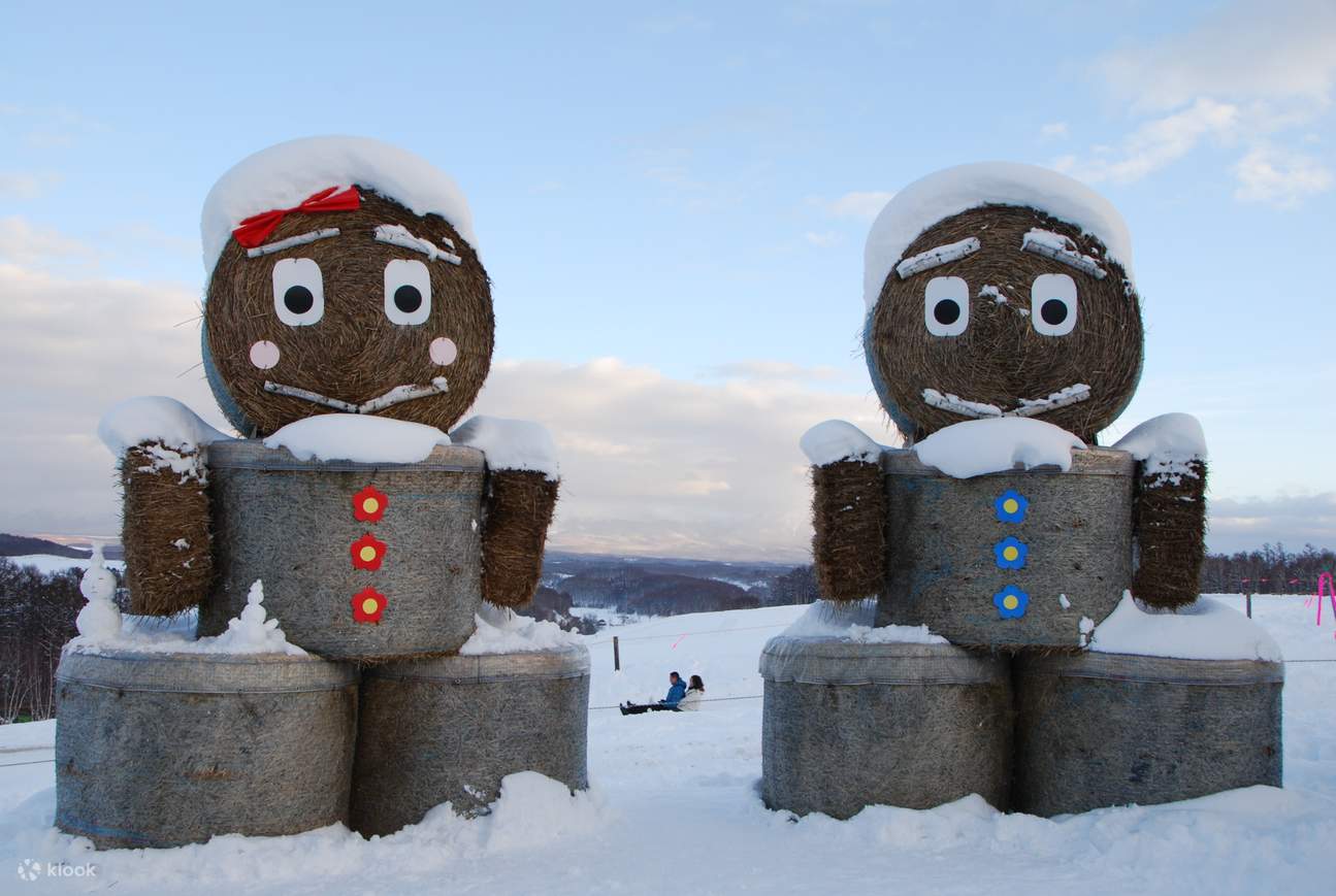 Asahikawa and Furano Day Trip: Christmas Tree Farm × Snow Land ...