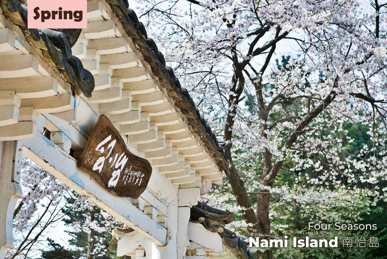 Nami Island & Eobi Ice Valley & Panorama Field & Morning Calm Tour - Klook