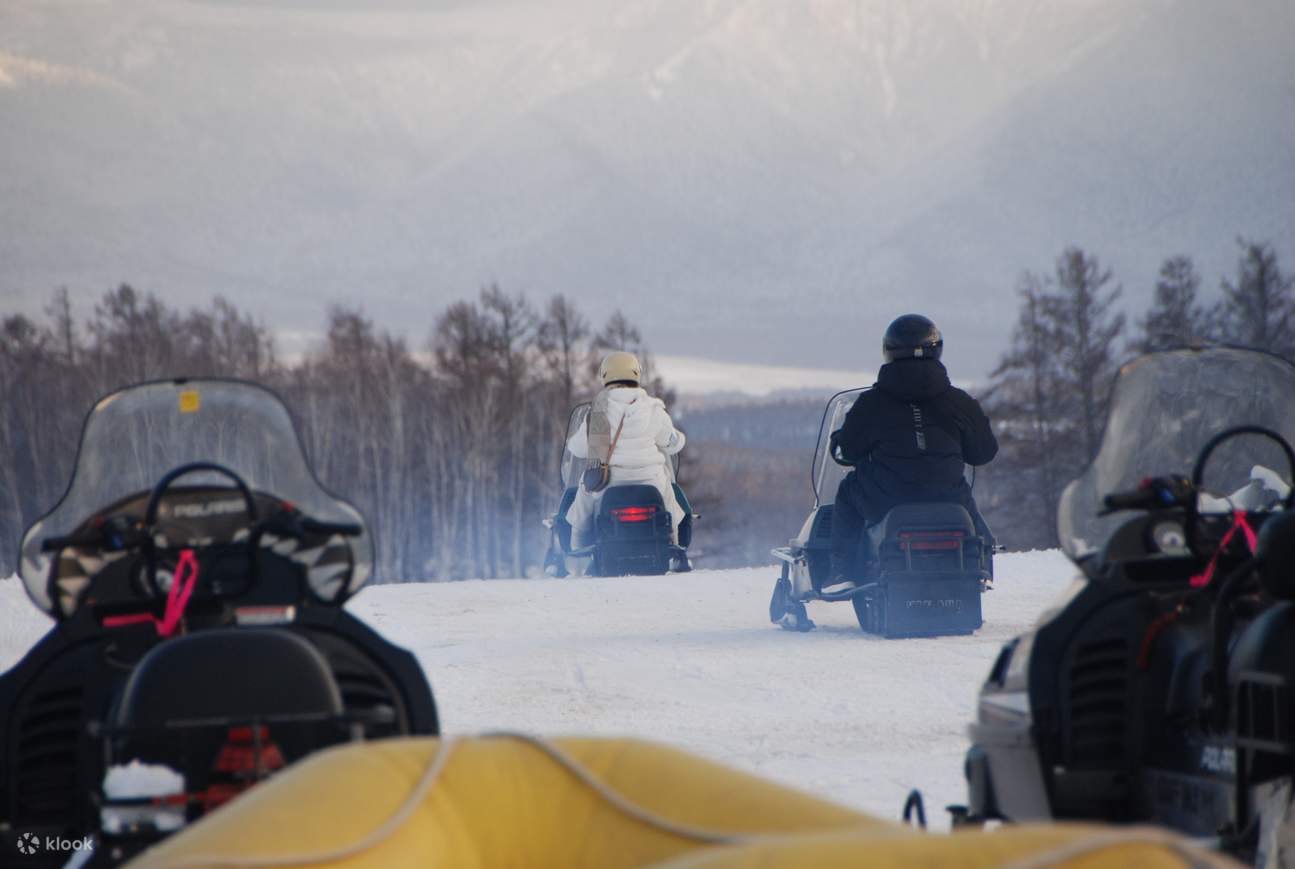 Asahikawa and Furano Day Trip: Christmas Tree Farm × Snow Land ...