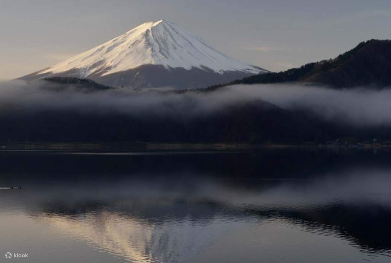 [Must-see Mount Fuji + Popular Check-in Spots] One-day Tour of Flower ...