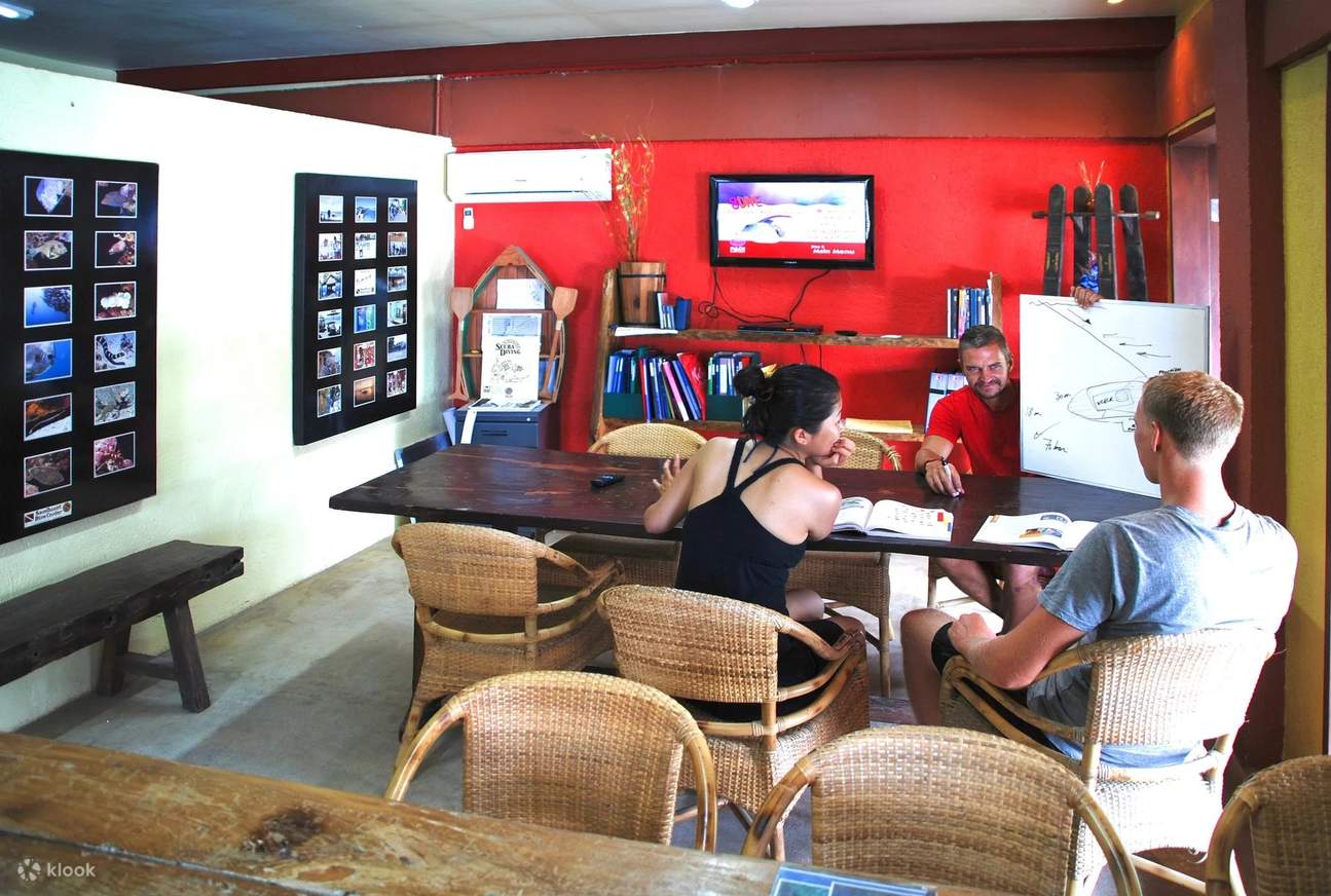 Jelajahi Kedalaman dengan Kursus Penyelam PADI OW di Bohol | Menyelam di Resor Selam Bintang 5 ...