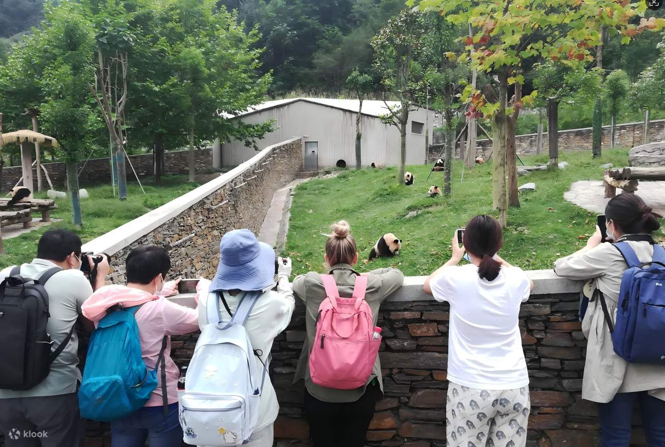 Wolong National Nature Reserve Panda Base & Dujiangyan Irrigation ...