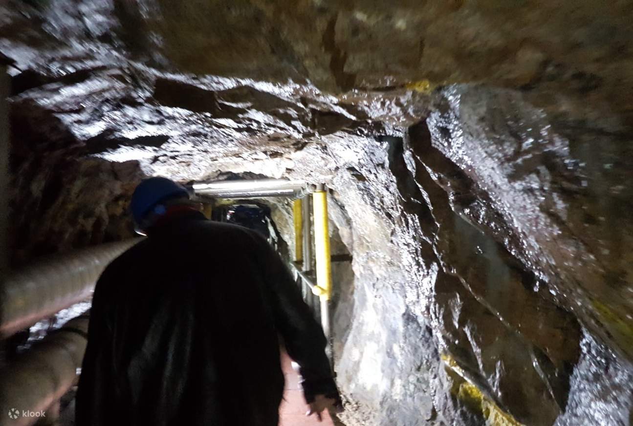 DMZ 2nd tunnel + Lake Suspension Bridge - Klook Singapore