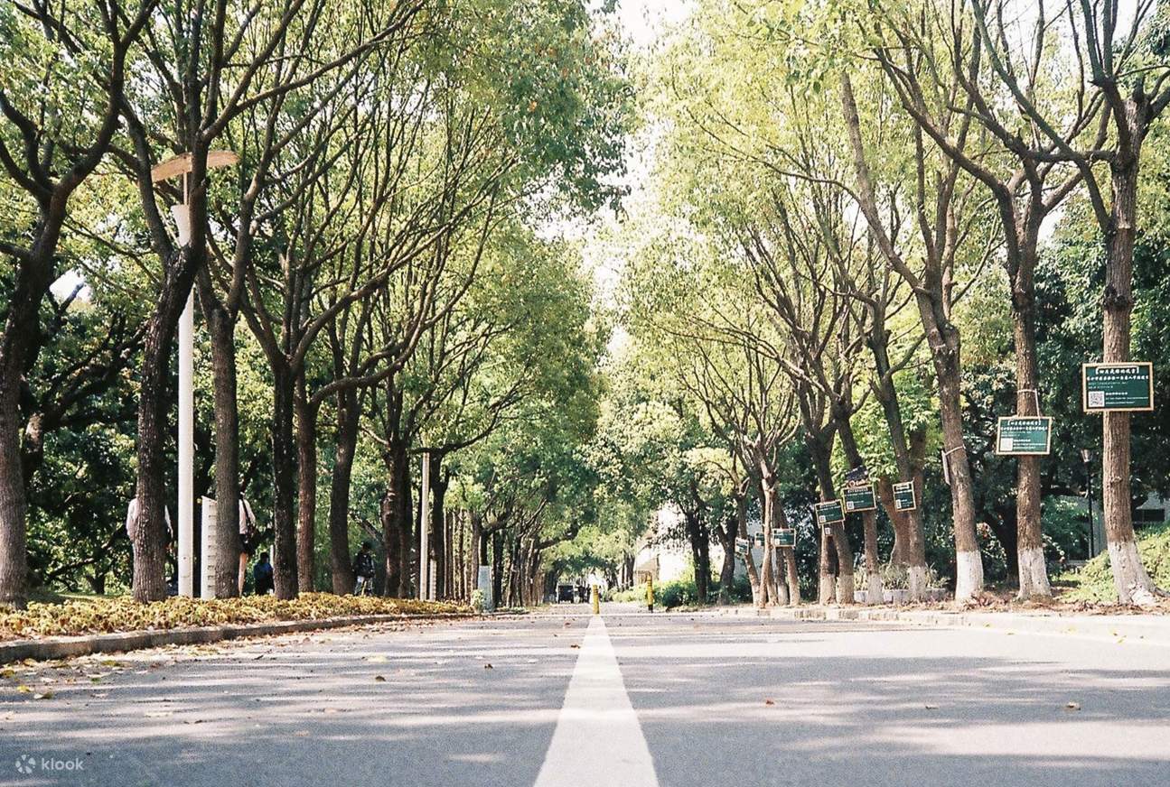 Shenzhen University Study Tour: Student-led Campus Tour + Interactive ...