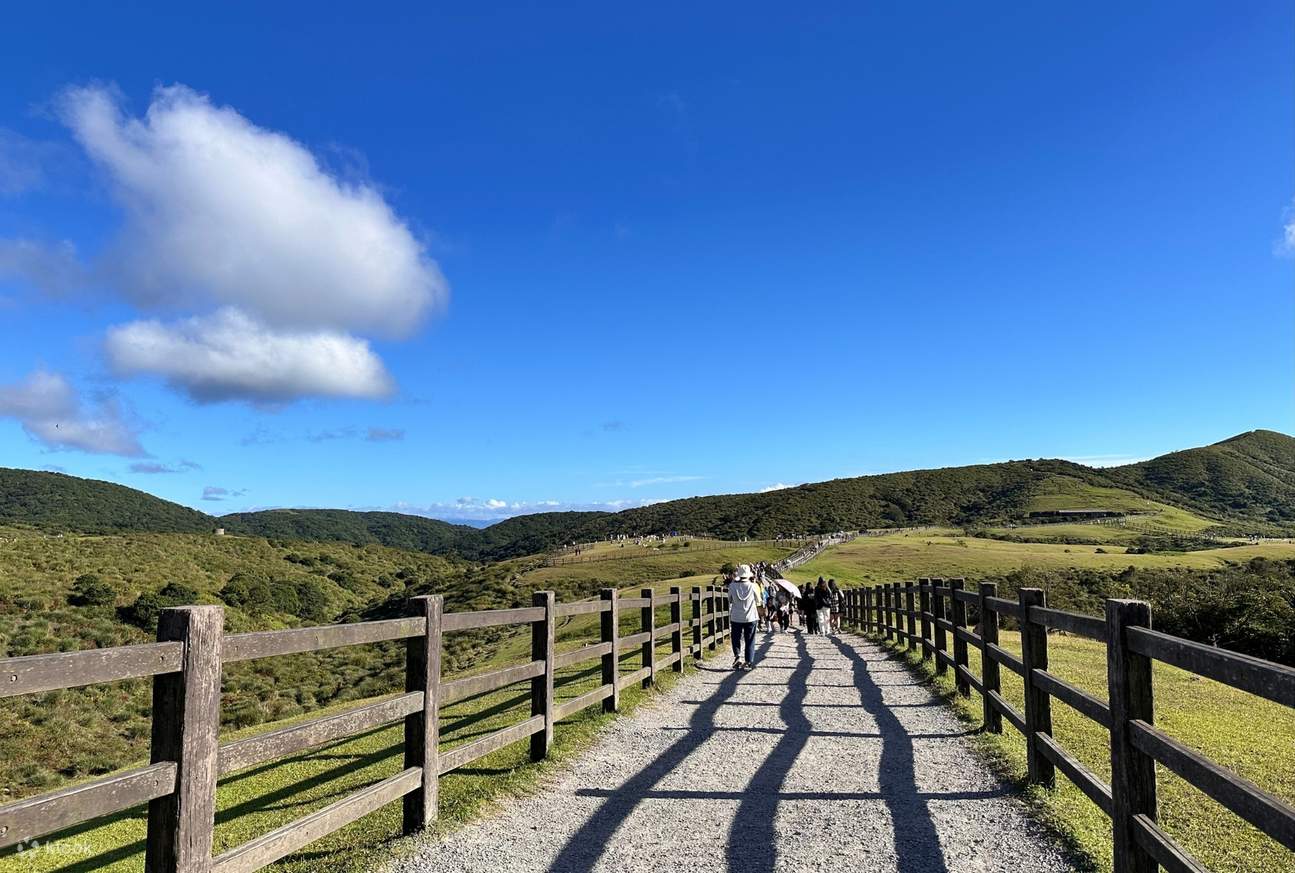 Taipei Private Car Charter: Customized Itinerary + Din Tai Fung Dining ...