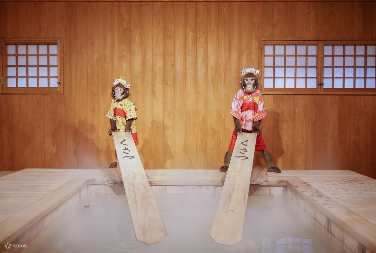 2-Day Snow Monkeys and Kusatsu Onsen Tour from Shinjuku - Klook