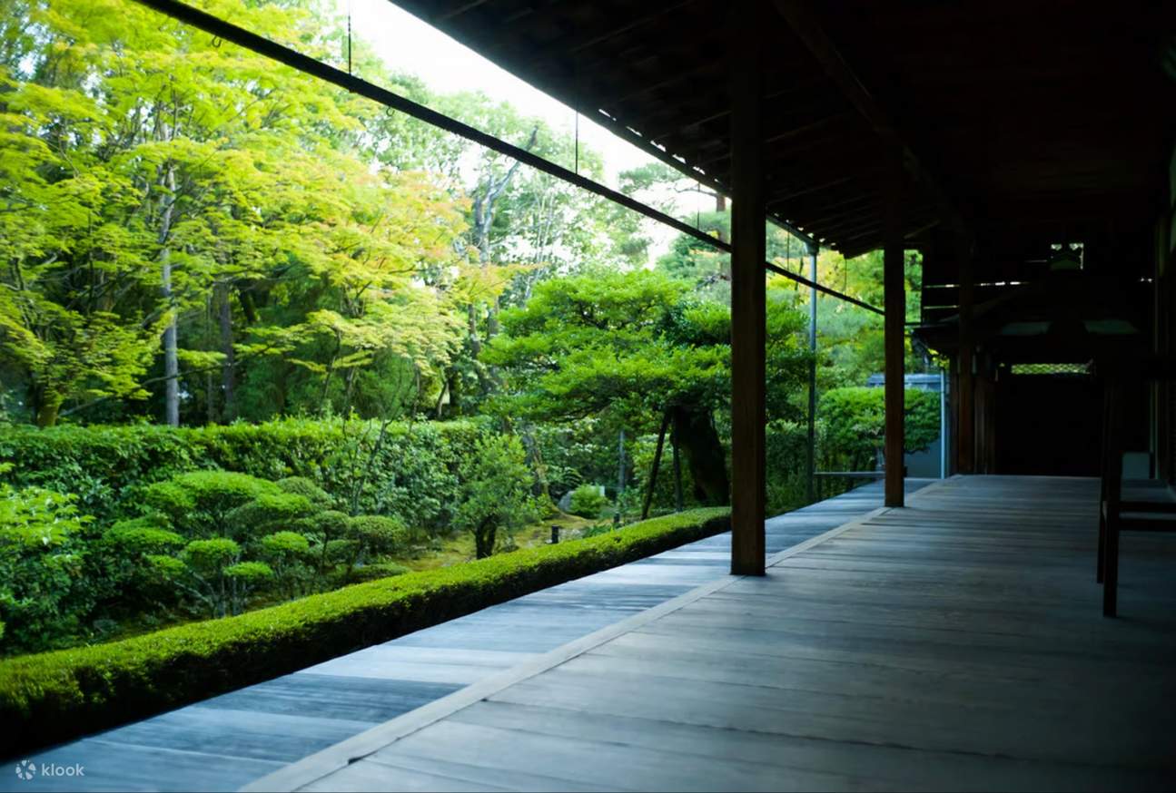 Kyoto: Nighttime Zen Meditation & Matcha Tea Experience in Myoshinji ...