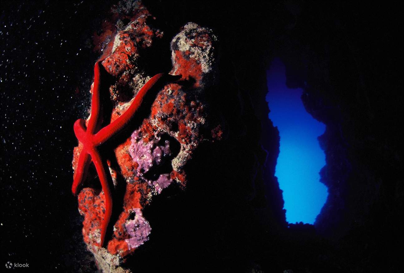 巴利阿里群島 Padi 高級開放水域潛水員與 Padi 5 星級潛水度假村 Klook香港
