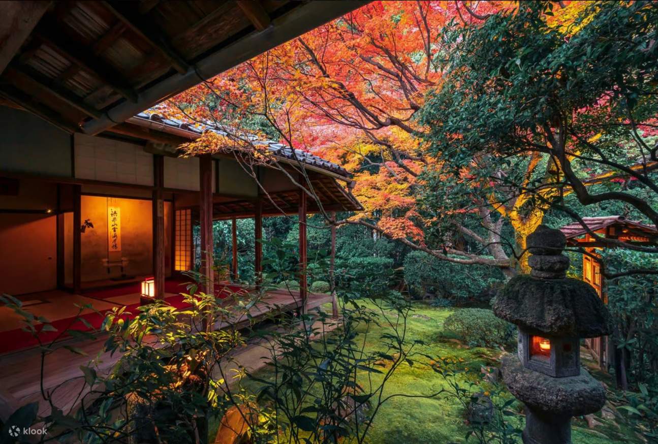 Kyoto: Nighttime Zen Meditation & Matcha Tea Experience in Myoshinji ...