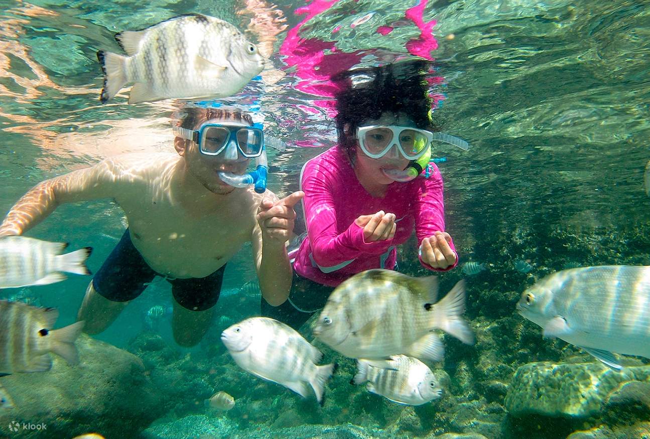 Trekking Tour in Saipan’s Forbidden Island - Klook