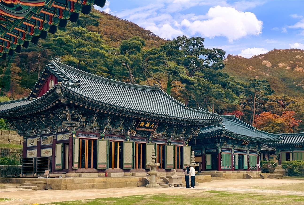 Color of Nature | Hidden Nature Day Tour Near Seoul - Klook Hong Kong