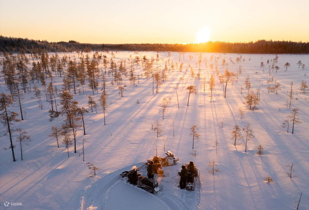 Snowmobiling Adventure Ranua - Klook