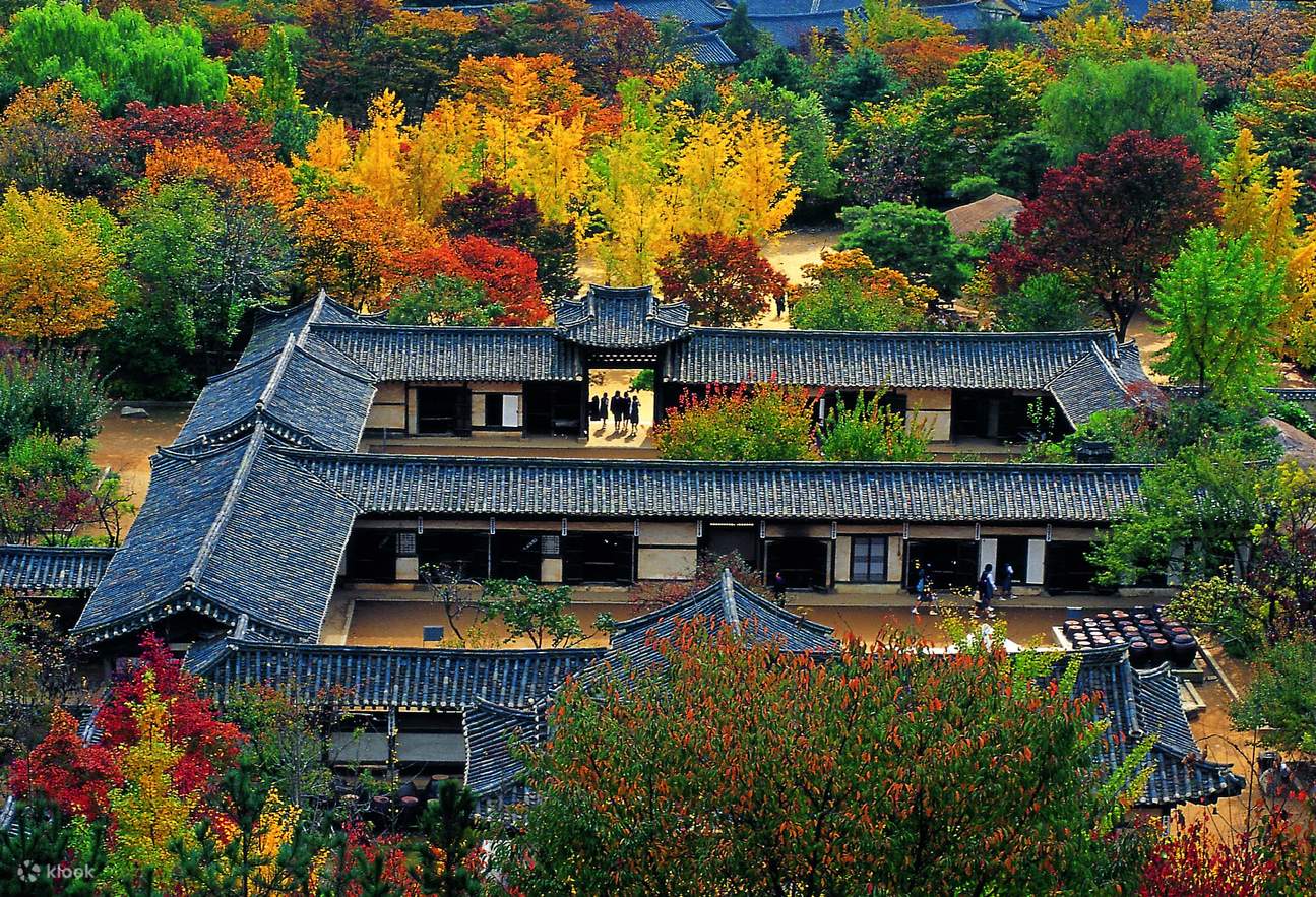Visita al parque Yongin Dae Jang Geum - Klook Estados Unidos