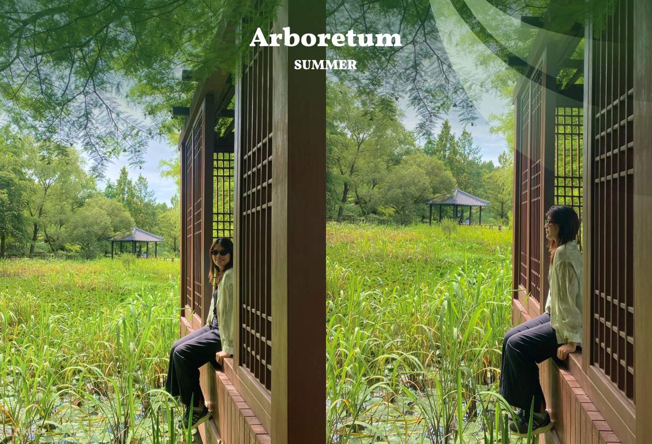 Jeonju Hanok Village & Seasonal Popular Attractions Day Tour - Klook