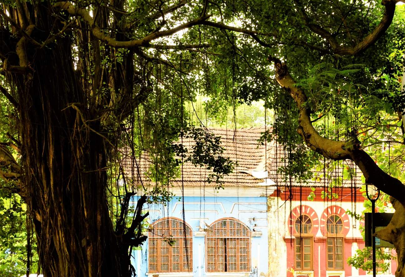 Campal Heritage Walking Tour, India - Klook Canada