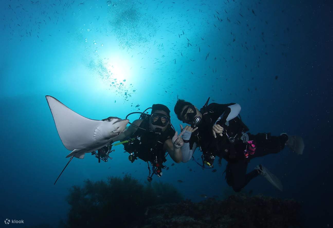 Dive Deeper and Longer: PADI Enriched Air Diver in Kuala Lumpur with ...