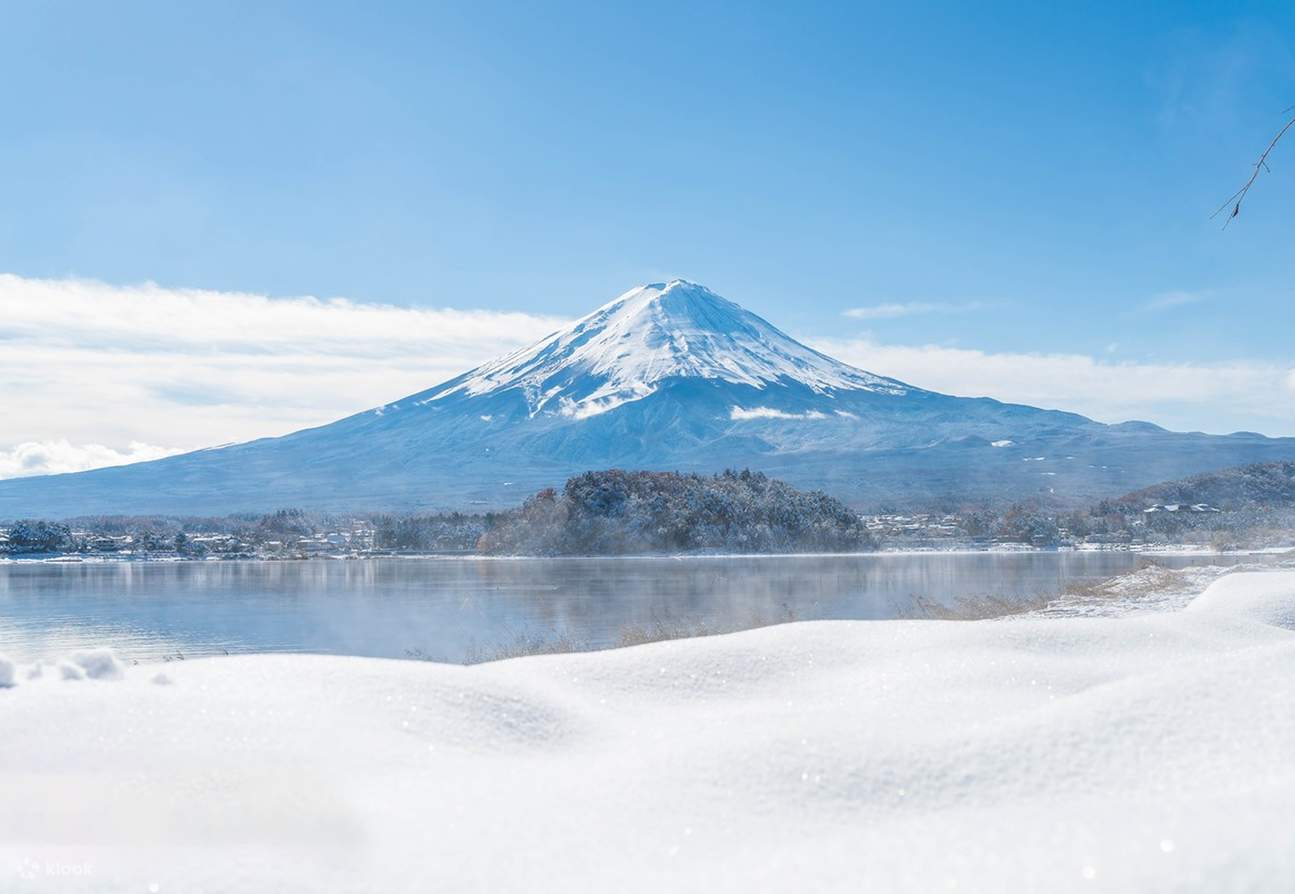 Mount Fuji Kawaguchiko Panoramic View & Tenjo-yama Park with Free Cable ...