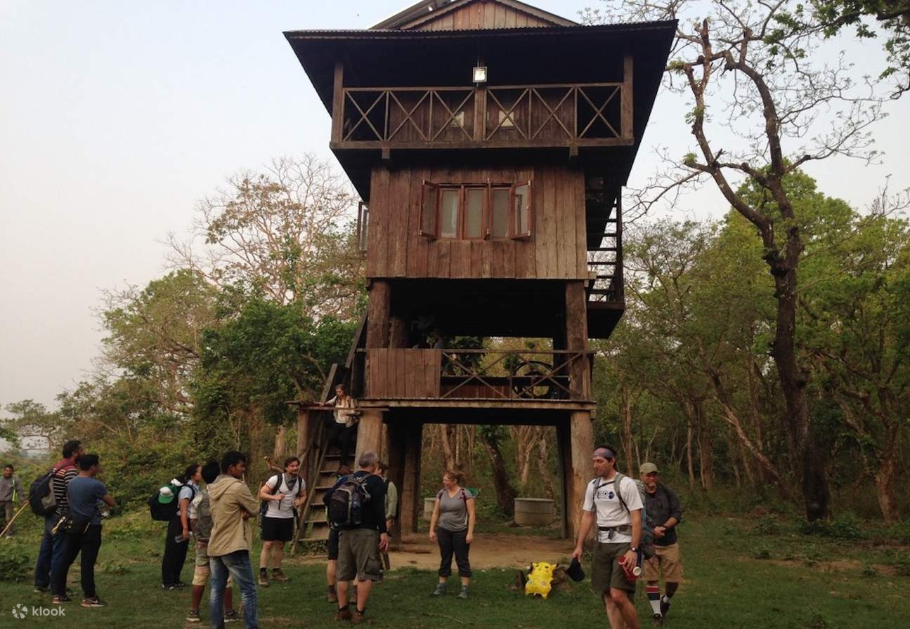 3 Nights 4 Days Chitwan National Park with Tower Night Stay - Klook ...