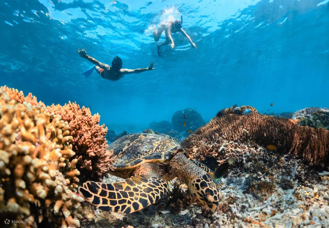 Lembongan Island Beach Club Cruise - Klook Estados Unidos