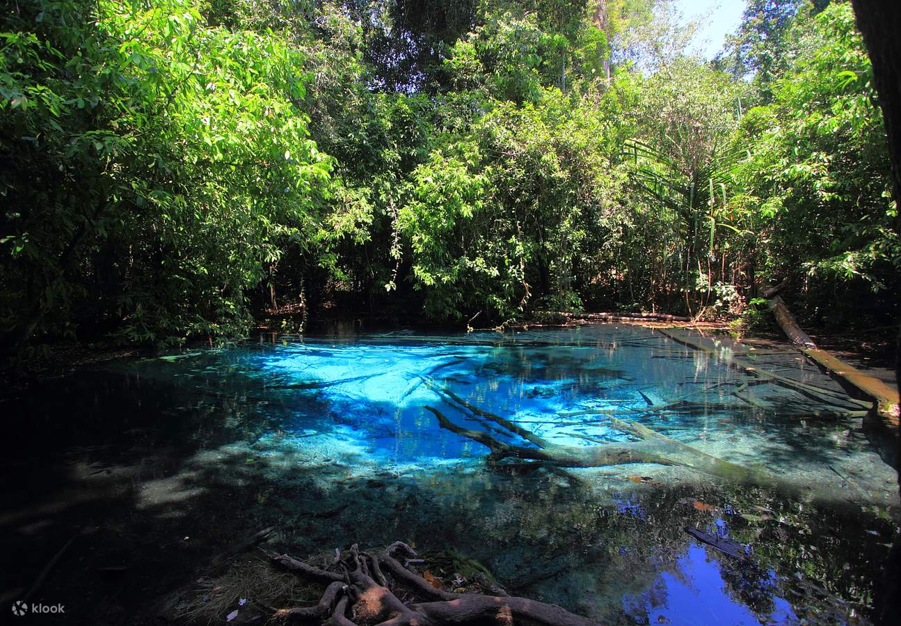 Tiger Cave Temple, Emerald Pool & Hot Springs Tour from Krabi – Full ...