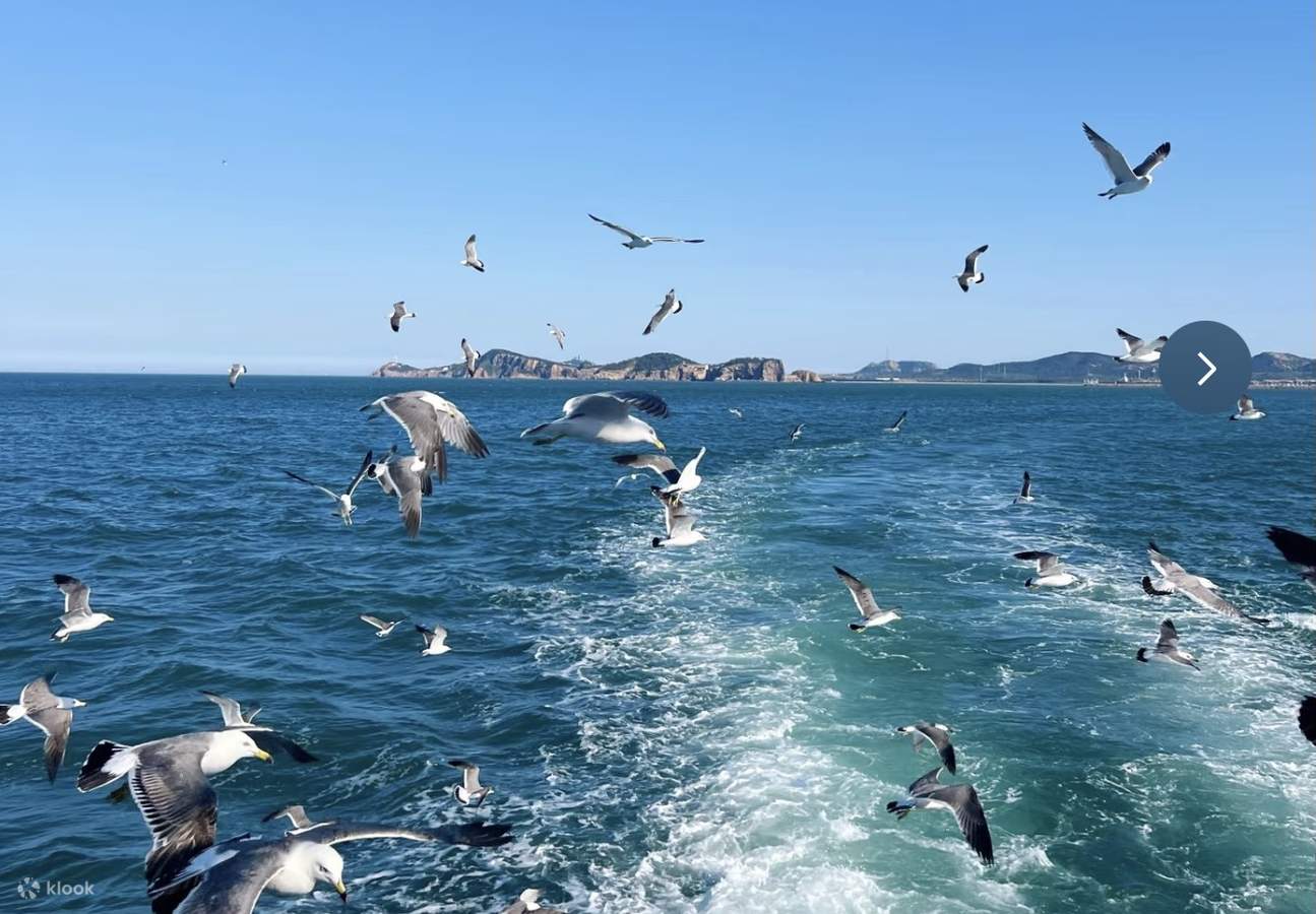 Hokkaido Otaru Cape Kamui Summer Scenery: Cape Kamui + Blue Cave ...