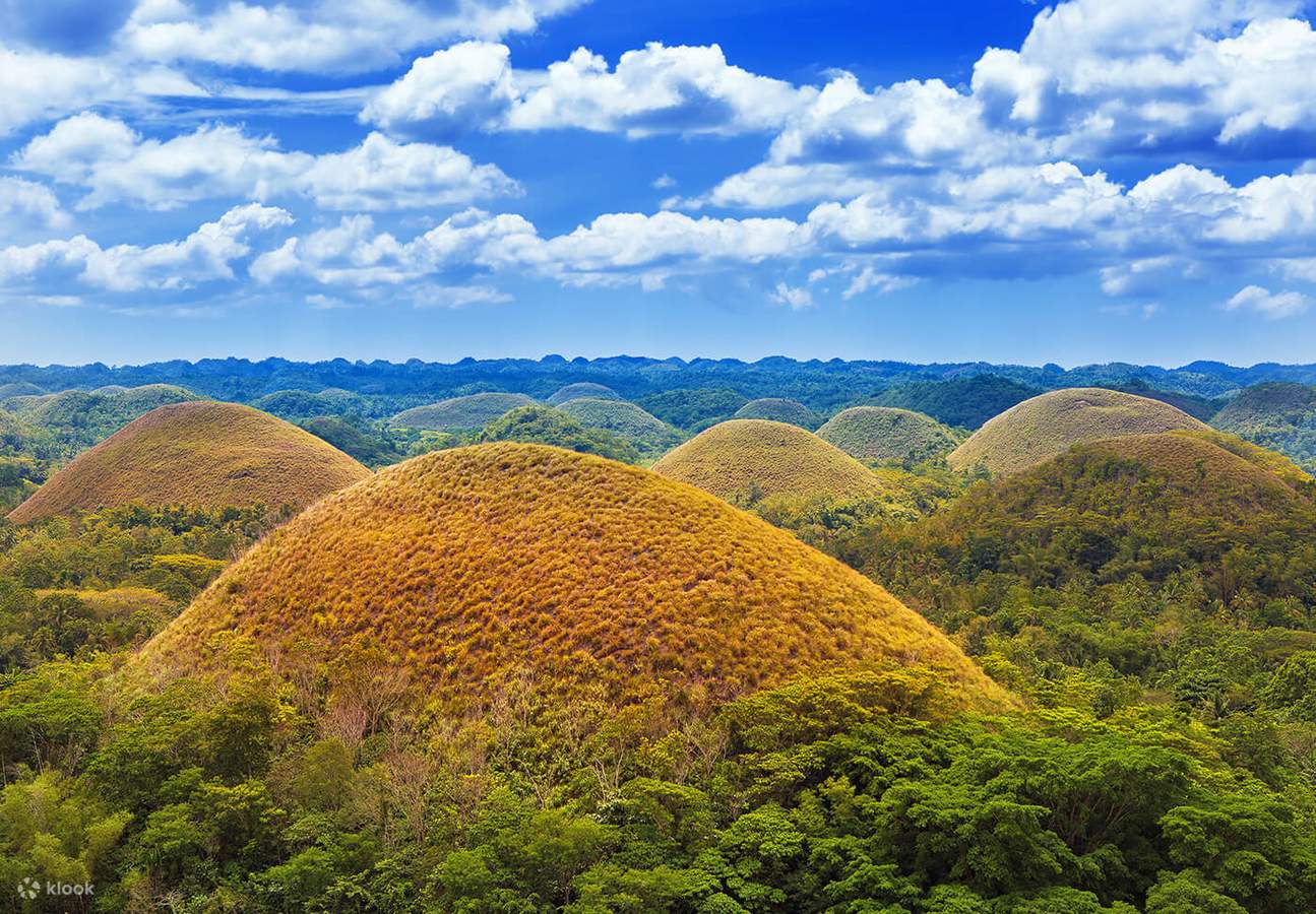 Bohol Countryside Day Tour All In Package - Explore the Best of Bohol ...