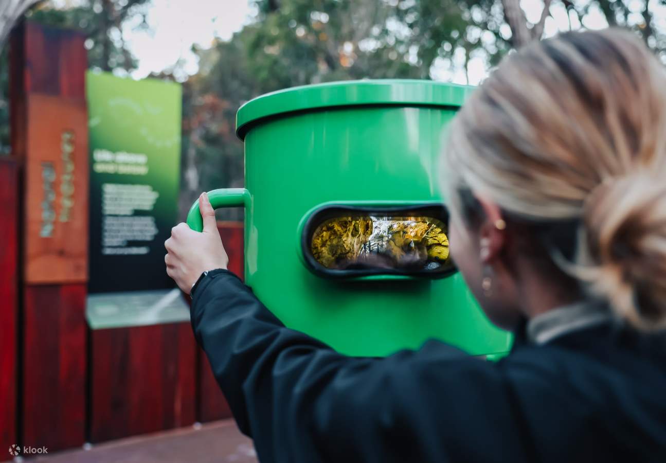 Ngilgi Cave Ancient Lands Experience - Klook United States