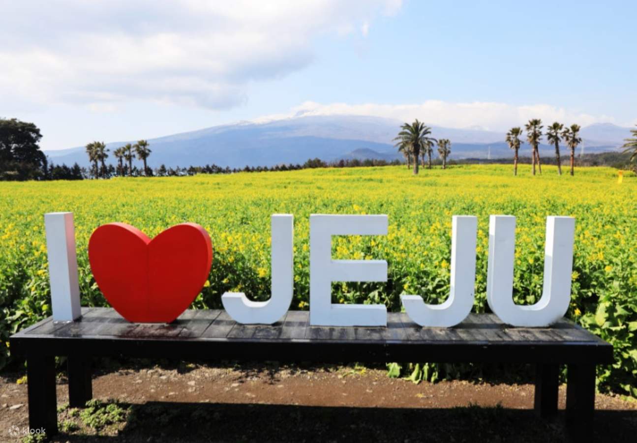 Jeju Spring Blossom Tour | Instagrammable Photo Spots - Klook Australia