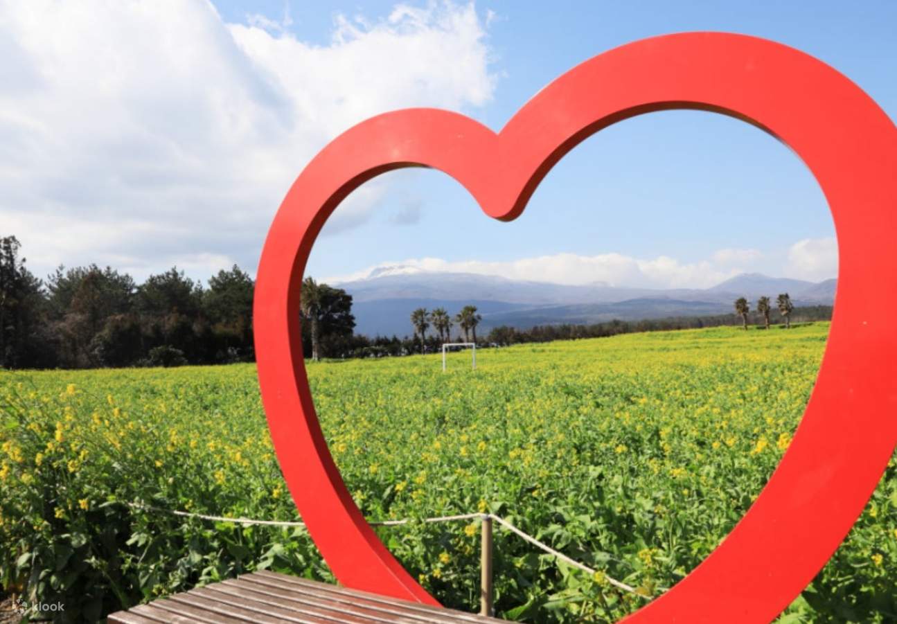 Jeju Spring Blossom Tour | Instagrammable Photo Spots - Klook United States