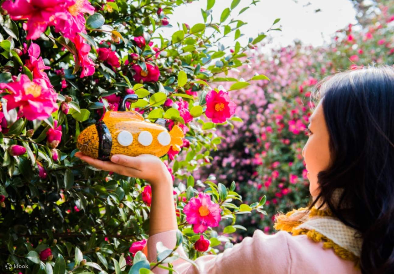 Jeju Spring Blossom Tour | Instagrammable Photo Spots - Klook Australia