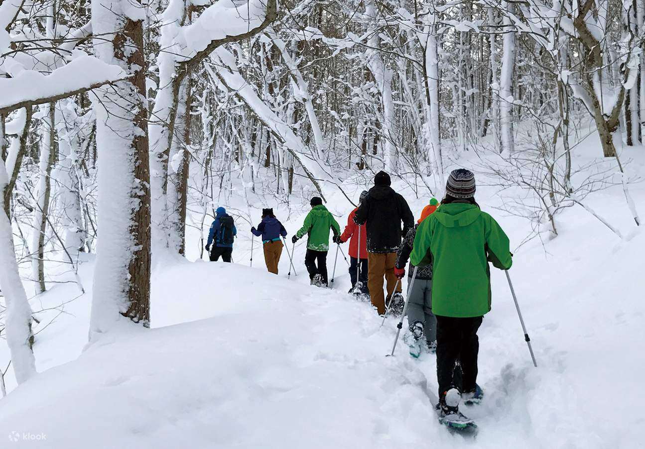 Hakuba Snowshoe Experience - Klook Australia