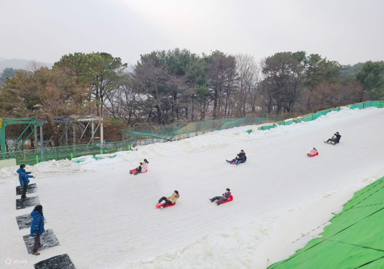 Seoul Land & Seoul Grand Park Round-Trip Shuttle + Admission Tickets ...