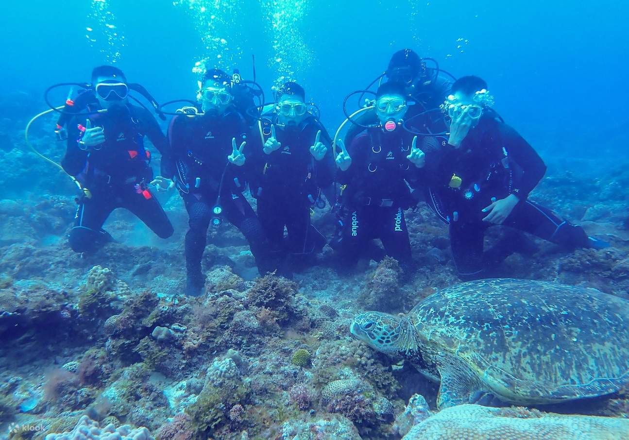 Pingtung Little Liuqiu｜Scuba diving experience｜Professional photography ...