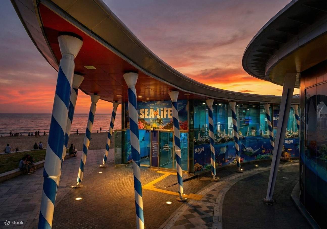 Busan SEA LIFE Aquarium / Brickman Admission Ticket - Klook