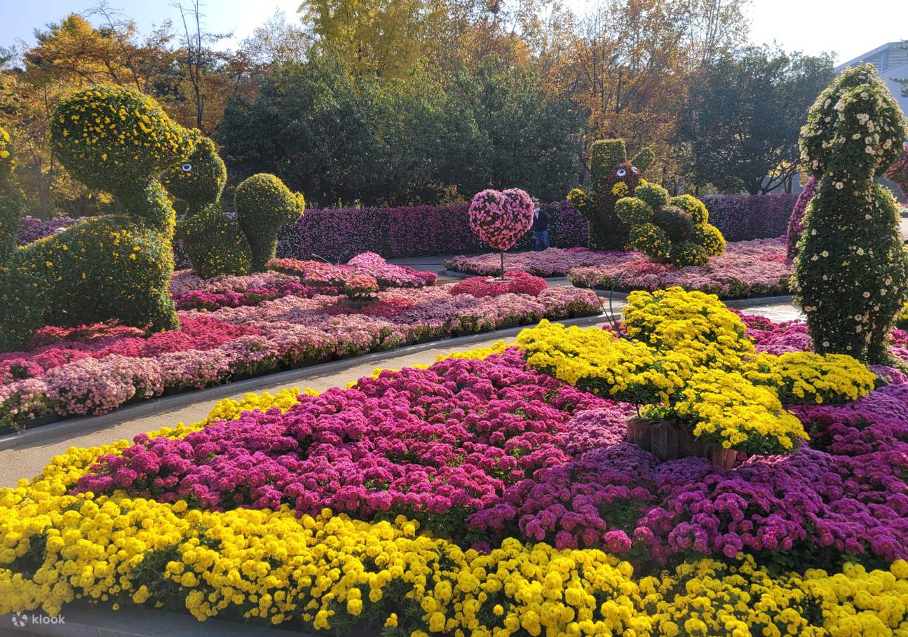 Daegu E-World+83 Tower&Seomun Nightmarket&Palgongsan Cable&Arboretum ...