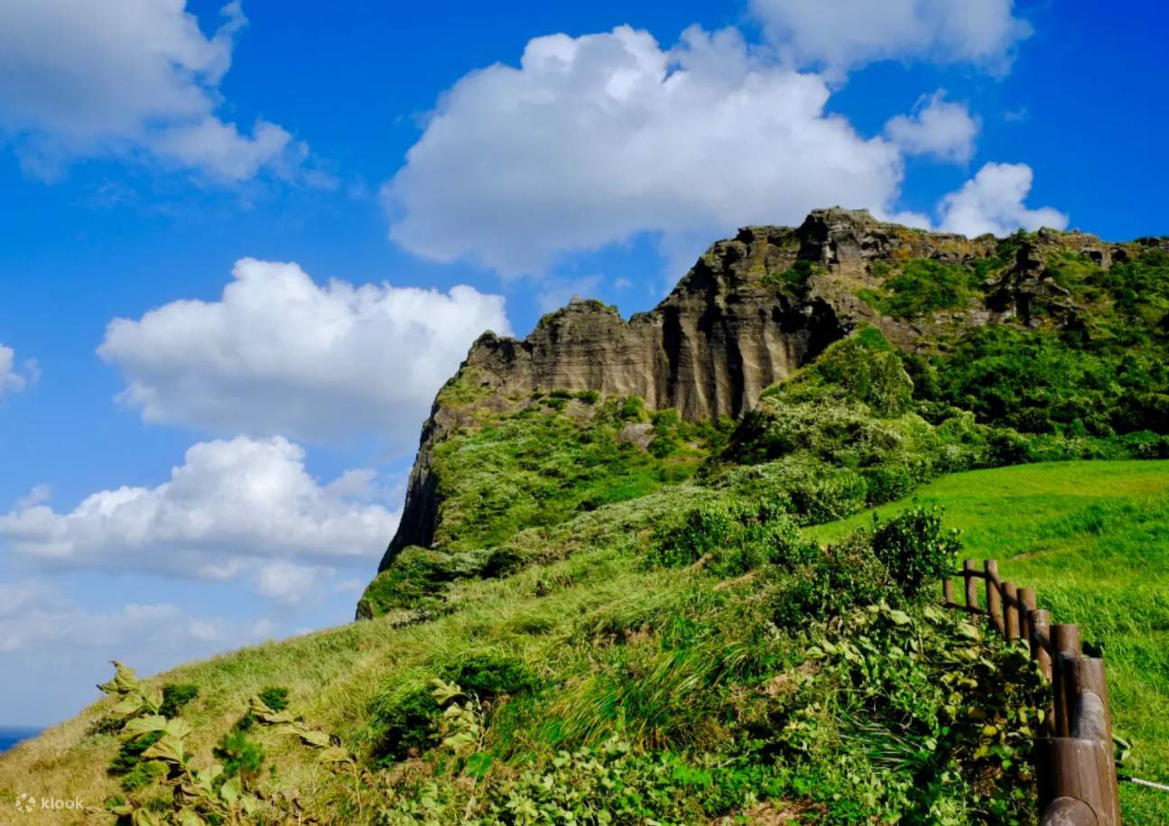 Jeju Day Tour Package Featuring Four Major Seasonal Flowers - Klook ...